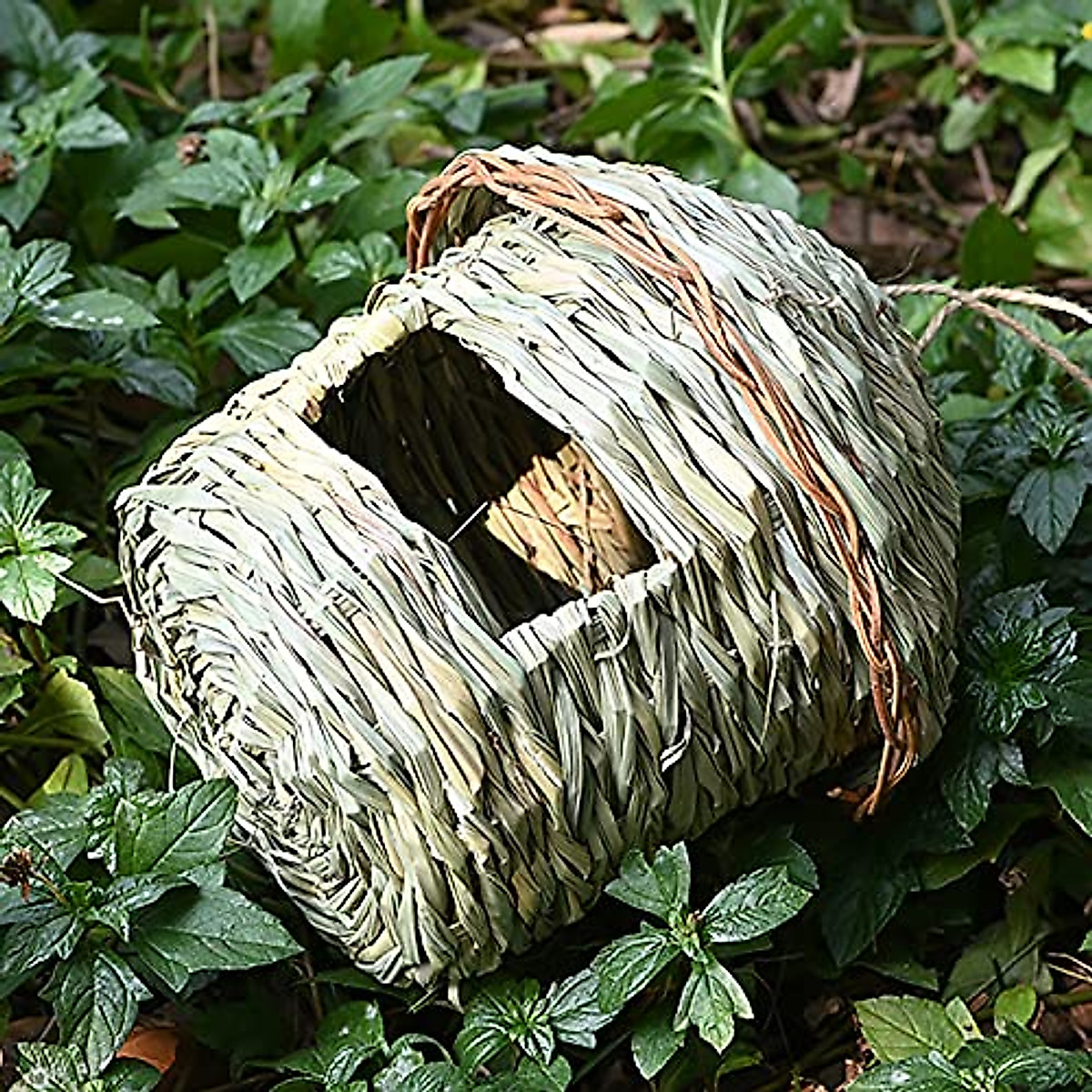 Rehomy Hanging Bird Houses Nest, 2pcs Reed Grass Hand Woven Bird Nesting Hanging Cage Grass Bird Hut Shelter for Parrot, Cockatiel, Parakeet, Canary, Finch Bird, Hummingbird, Dove, Budgie