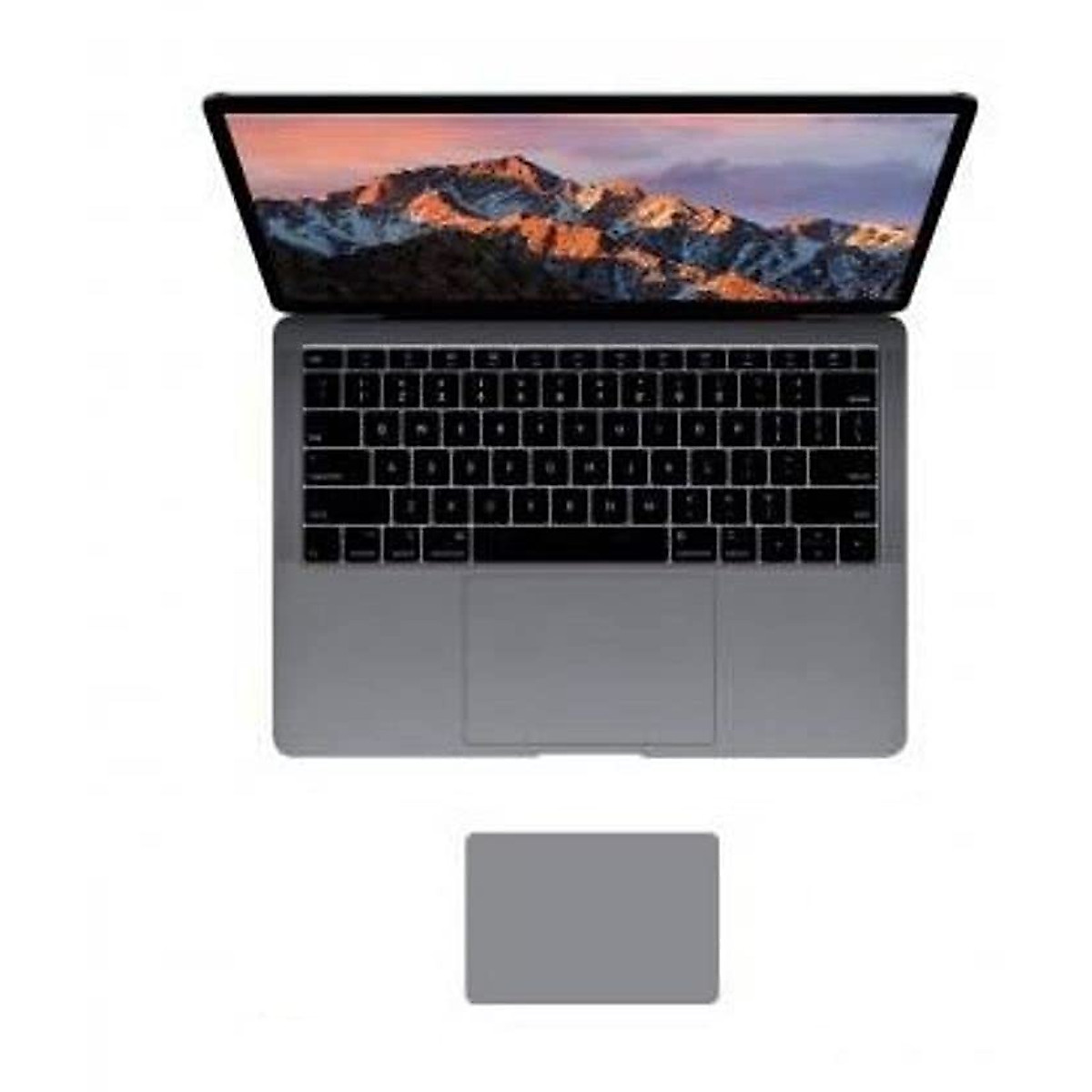 Pack of 2 - Ecomgenic Laptop touchpad Protector trackpad Cover Grey for Dynabook Portege X40L-K 14 inch Laptop