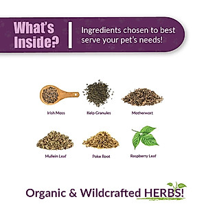 Amber NaturalZ TYD Thyroid Balance Herbal Supplement for Dogs, Cats, Birds, Guinea Pigs, and Rabbits | Herbal Pet Supplement for Thyroid Health | 1 Fluid Ounce Glass Bottle | Manufactured in The USA