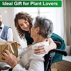 SPORTYOUTH 6Pcs Wall Hanging Glass Planter Terrariums Plant Propagation Stations Desktop Tubes, Large Cylinder Bud Vase Container for Hydroponics Plants Air Plants, Home Office Decor Kit