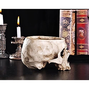 IBWell Modern 6 inch Large Funny Resin Skull Shaped Head Design Flower Pot Planter Container, Decoration Flowerpot Props Home Office Desk Decor
