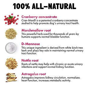Cranberry UTI Chews for Dogs Bladder Support + D-Mannose Supports Kidney Urinary Tract and Bladder Health Natural Cranberry Wellness Supplement Immune System Booster Natural Pet Antioxidant 30 Chews