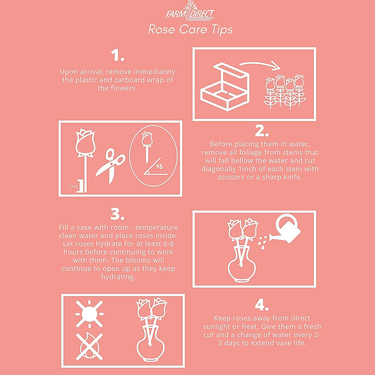 Farm Direct Fresh Pink Roses for Mother's Day | Pink Rose Flower Bouquet of 12 Fresh Roses (Dozen) + Vase Included - Roses for Delivery