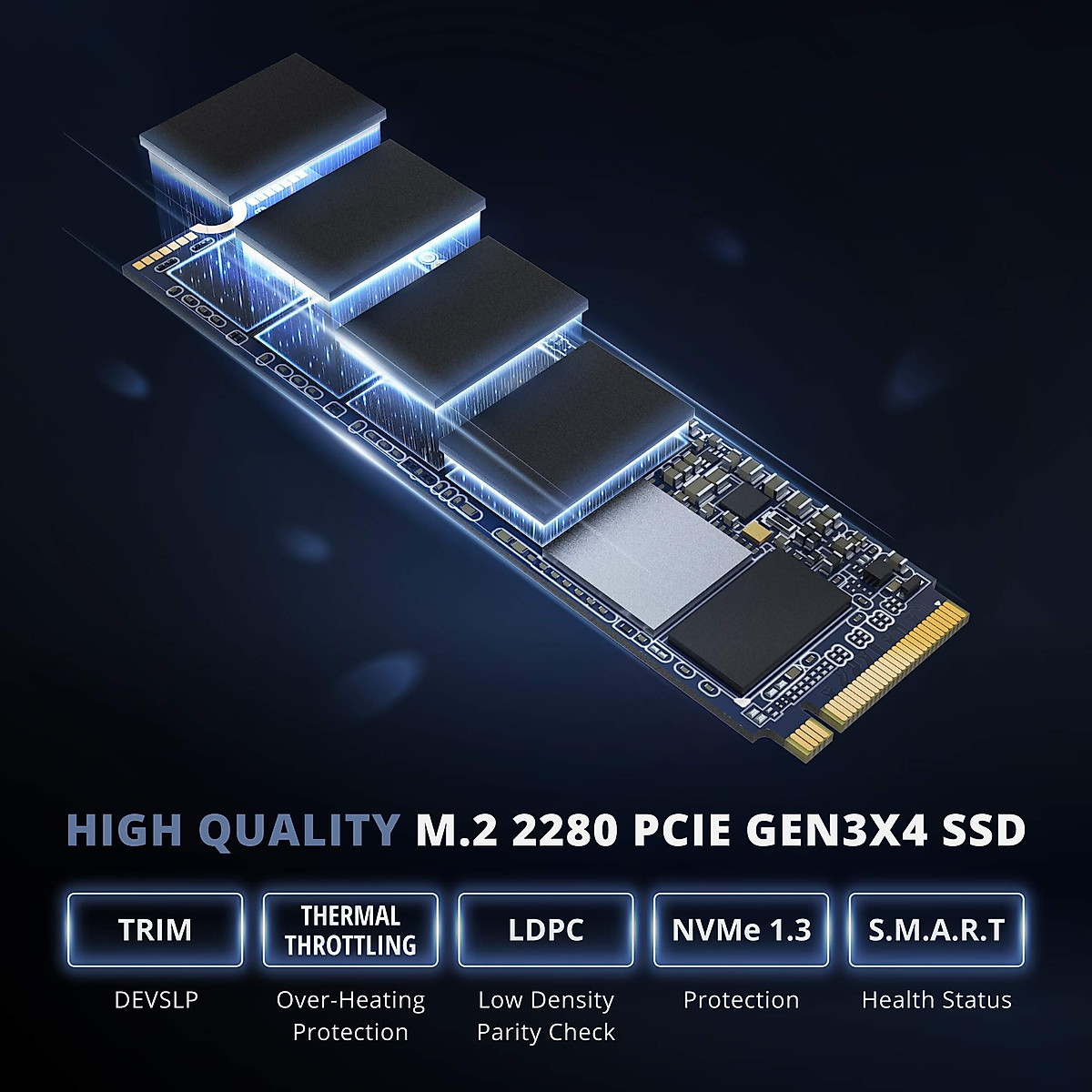 Pioneer 256GB NVMe SSD PCIe M.2 2280 Gen 3x4 TLC Internal High Speed Read/Write up to 3100/1000MB/s Solid State Drive, 300 TBW, PC Laptop Compatible (APS-SE20G-256)