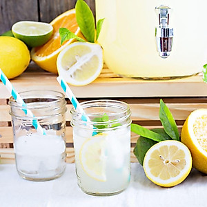 JARMING COLLECTIONS Mason Jars 16 oz with Plastic Lids (BPA Free) Pint Mason Jars Wide Mouth (set of 2)