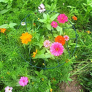 MTB Supply MTB 16 x 24 inch Grow Through Plant Support, Flower Stakes Hoops Heavy Plants Brace Ring，Grow Through Plant Supports Ring Hoop, Plant Brace Flower Support Rings,Pack of 5