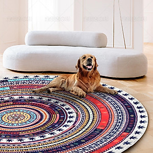 Round Washable Rug,4ft Washable Round Rug Round Entryway Rug Non-Slip Soft Washable Rug Round Circle Pile Rug for Dining Room Table(4'x4',Multicolor)