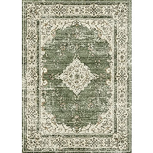 Valenrug Washable Rug 5x7 - Ultra Thin Green Collection Area Rug, Stain Resistant Non-Skid Rugs for Living Room, Persian Boho Bedroom Rugs(5'x7', TPR40-Green)