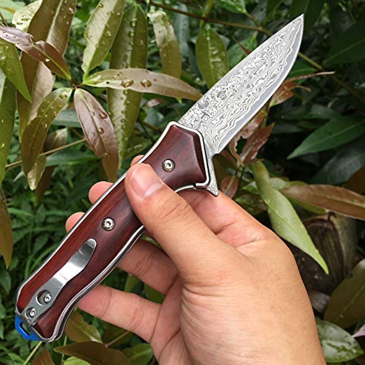 ALBATROSS HGDK001 EDC Classic Damascus Folding Camping Pocket Knives With Liner Lock,Cocobolo Wood Handle,Gifts/Collections