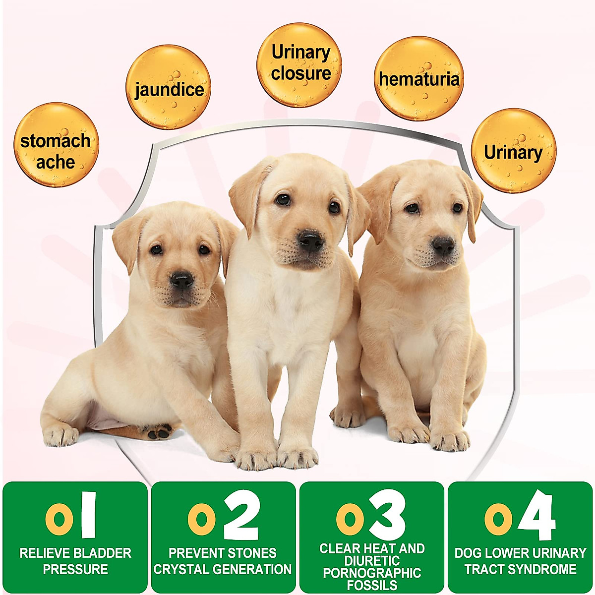 Oimmal Cranberry Bladder Health for Dogs