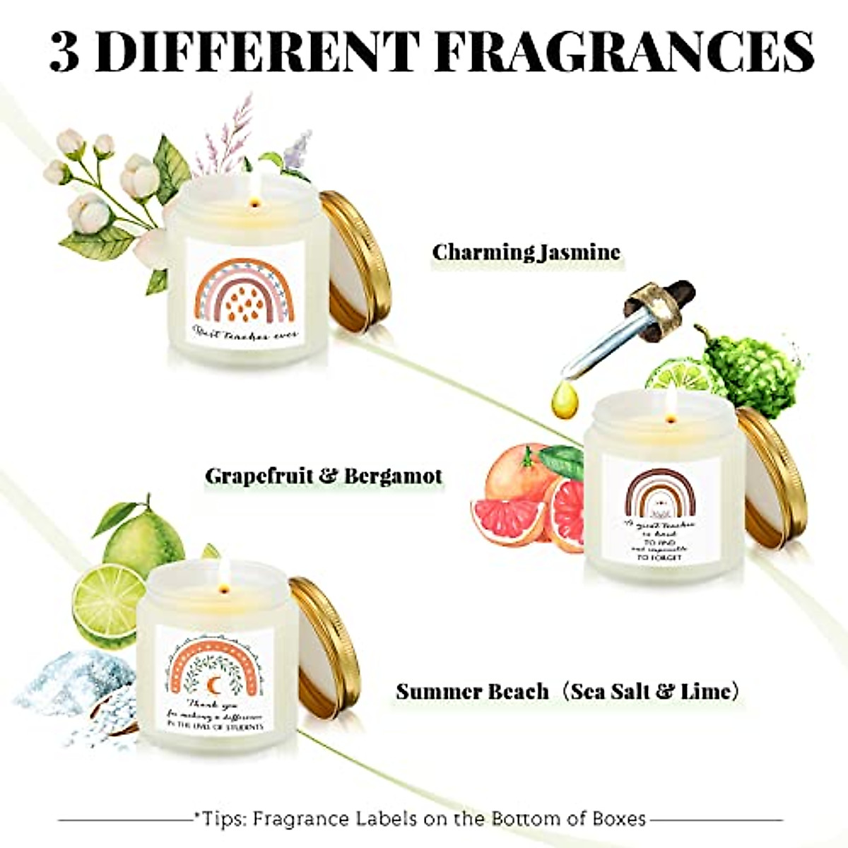 6 Jar Teacher Appreciation Gifts Bulk Teacher Candles with 3 Scents Thank You Gifts Best Teacher Scented Soy Wax Candles Teacher Valentine Gift for Women Teacher, 3.5 oz