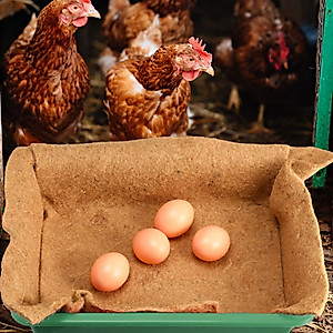 Aoriher 24 Pack Natural Hemp Chicken Nesting Pads Reusable Hens Nest Bedding Mats Chicken Nesting Box Liners for Hen Laying Eggs, Coop Pet Garden Lawn Indoor Outdoor, 11.8 x 11.8 Inches