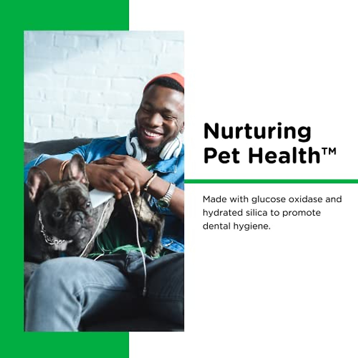 Nutri-Vet Enzymatic Toothpaste for Dogs - Non-Foaming Chicken Flavor - Promotes a Healthy Active Lifestyle - 2.5 oz