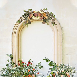 HiiARug Fall Decor Swag, 26 Inch Decorative Swag Burnt Rose Eucalyptus Leaves Fall Decorations for Home Garden Fall Theme Wedding Decor (Orange, 26")