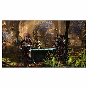 Kingdoms of Amalur Re-Reckoning - PlayStation 4