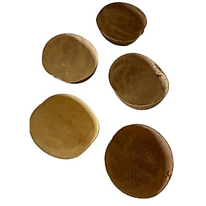 Jícara de Santería Auténtica para Ofrendas y Ritualidades Sagrados