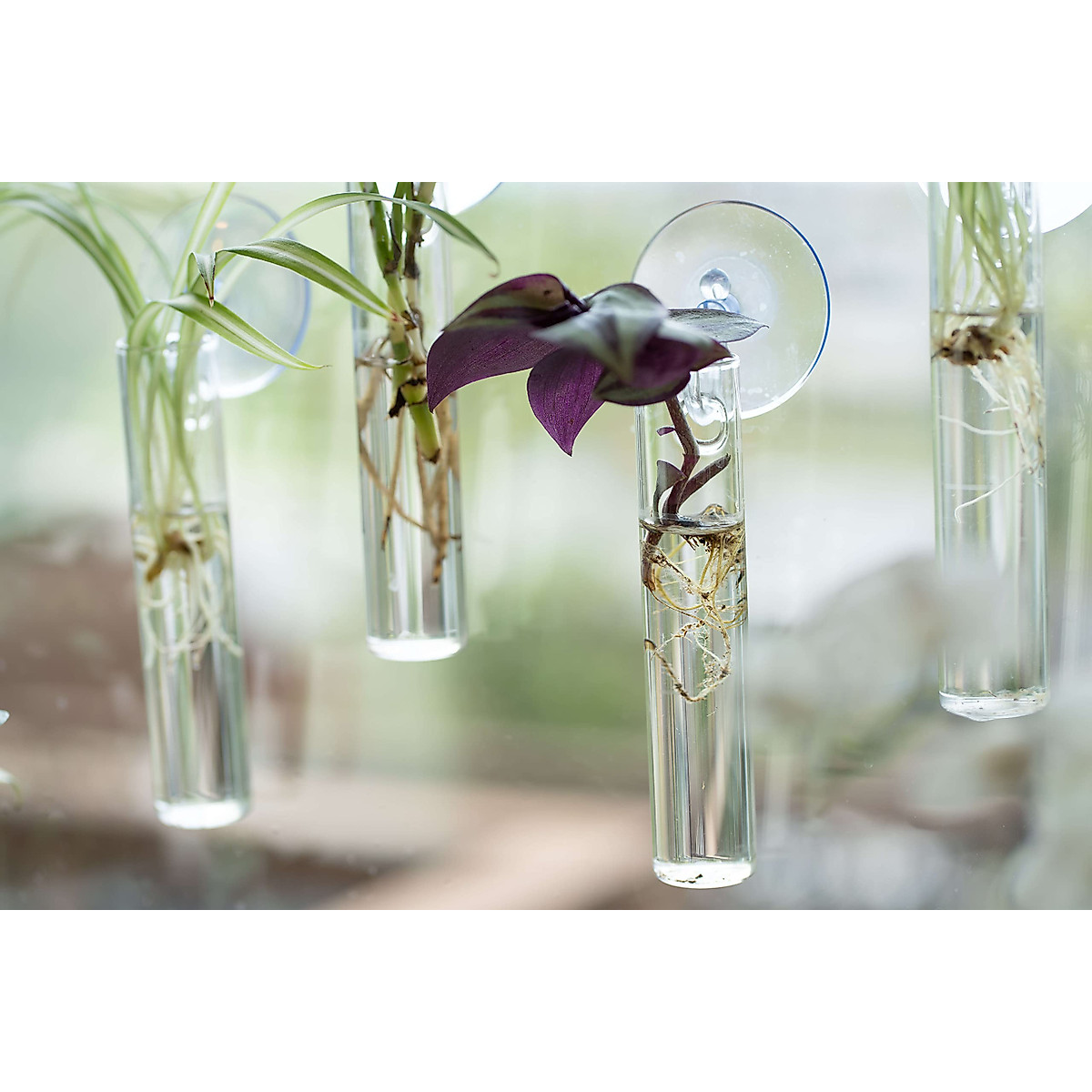 Window Propagation Stations (Set of 4) | Easy to Install Plant Propagation Tubes with Suction Cups - No Nails | Hanging Propagation Station | Gifts for Plant Lovers | Hanging Terrarium