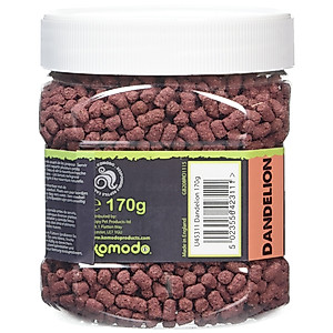 Komodo Complete Holistic Tortoise Diet, Dandelion, Tube,170 g