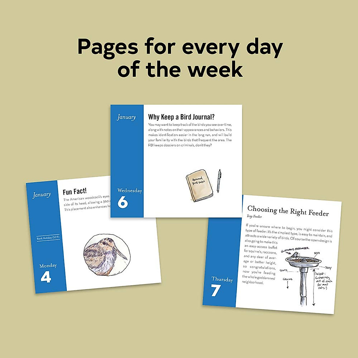 Dumb Birds of North America 2021 Daily Calendar: (One Page a Day Calendar of Funny Bird Facts, Humor Daily Calendar about Birds with Bird Artwork)