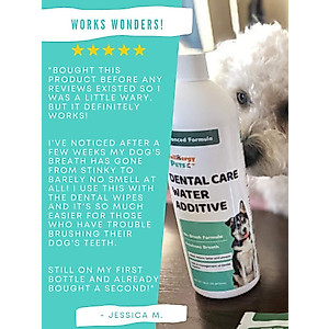 Wellnergy Pets Dental Care Combo for Dogs & Cats - Dental Water Additive 16 fl oz & Dental Wipes 100 Pads - Improves Oral Hygiene, No Brush Formula
