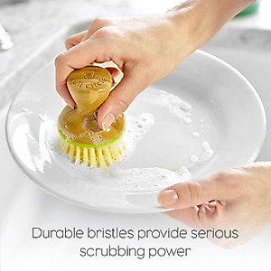 Full Circle Bubble Up Dush Brush with Bamboo Handle, Set of 3, Green