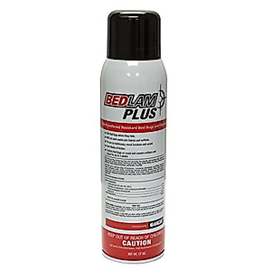 Bedlam Plus Aerosol 17 oz. (6 cans)