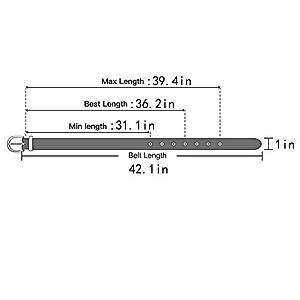 CLARA Women Vintage Western Waist Belt Double Buckle Belt PU Leather Waistband for Jeans Dress (Brown)