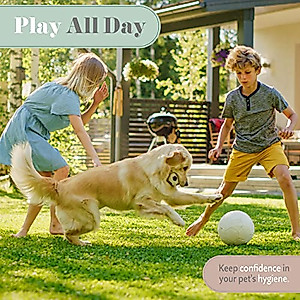 Begley's Natural Pet Detangling Spray - Premium Essential Oil Scented Detangler Spray for Dogs, Puppies & Cats - Dog Leave in Conditioner Spray - Dematting Spray for Dogs & Pets - 16 oz, Baby Powder