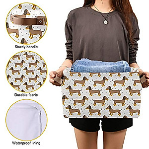 Mazeann Dachshunds Dog with Dots Storage Basket Bin Collapsible Foldable for Clothes Toys Storage Cabinets Waterproof Storage Box 15 x 11 x 9.5 inches, White, 1PC