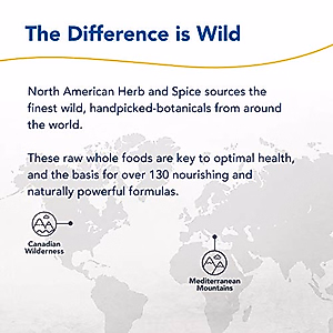 NORTH AMERICAN HERB & SPICE Oreganol P73 Cream - 2 oz. - Potent, Natural Moisturizer - Oreganol P73 Oregano Oil, Honey, Propolis, Royal Jelly, Oil of Hypercium, Lavender, Extra Virgin Olive Oil
