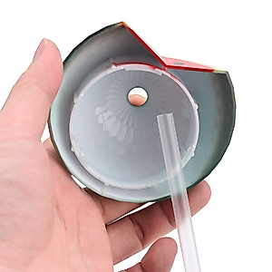 PRTECY Kawaii Fruit Straw Cups, Strawberry Cups Watermelon Tumbler with Lid Portable Cute Water Bottle Mug for Gift Home Office School (720 ML/24 OZ)