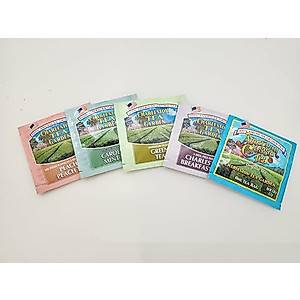 Tea Sampler Gift Set Featuring Charleston Tea Plantation Tea Bags - WGIS Gift Box Set #1 With Bonus Flavor Bag