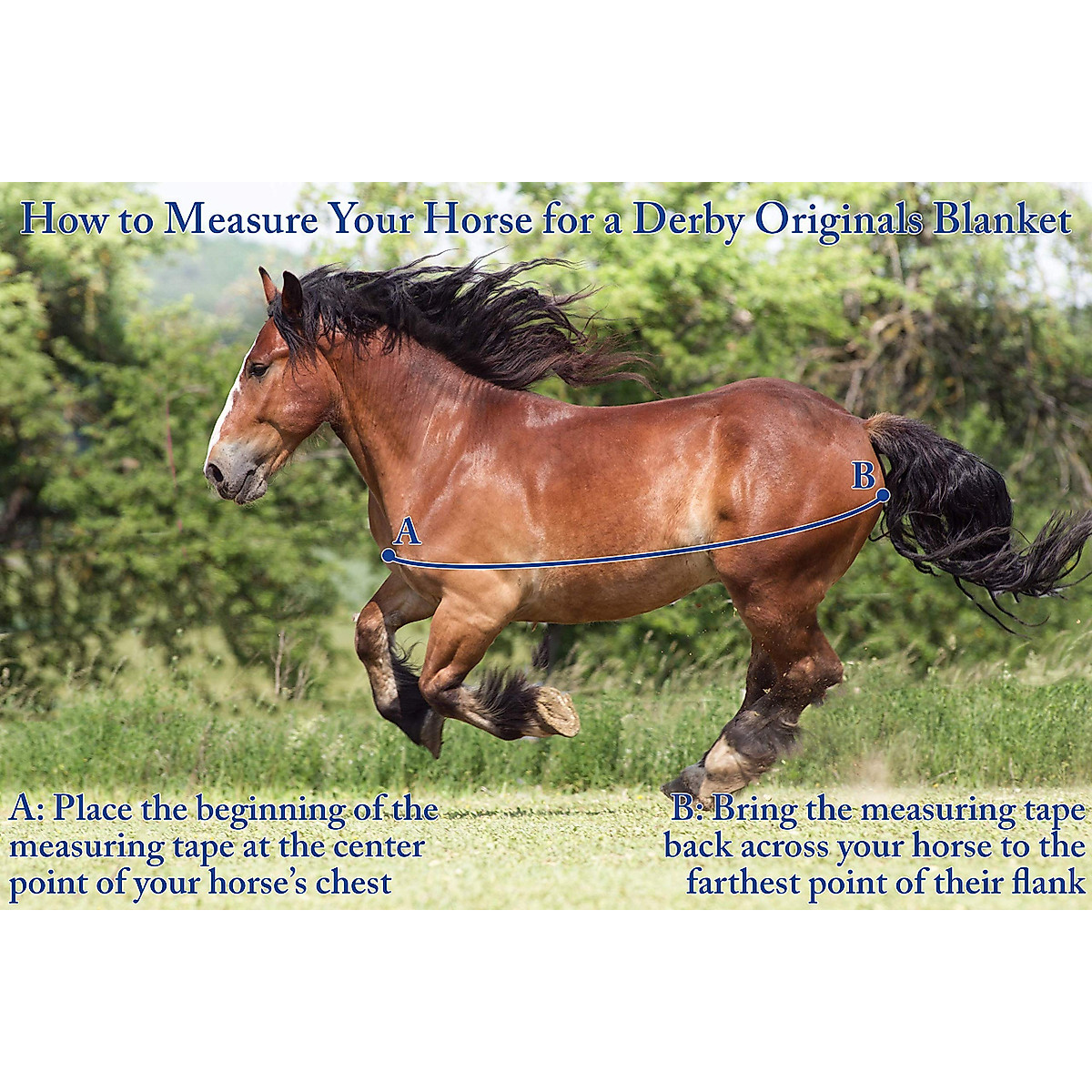 Derby Originals Nordic Tough 1200D Ripstop Waterproof Reflective All Season Mini Horse Pony Turnout Rain Sheet, Electric Blue, 48"