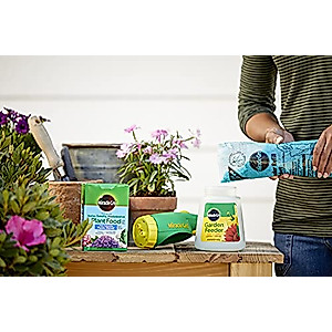 Miracle-Gro 1000701 Pound (Fertilizer for Acid Loving Plant Food for Azaleas, Camellias, and Rhododendrons, 1.5, 1.5 lb