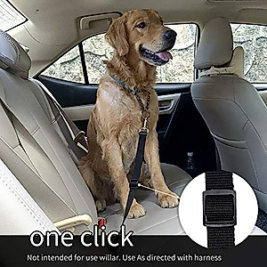 Dog Seatbelt, Dog car seat, Dog Accessories, Pet Car Seatbelt Safety, with Adjustable Length and Nylon Fabric, Upgraded Dog Car Harness, 2 Pack.