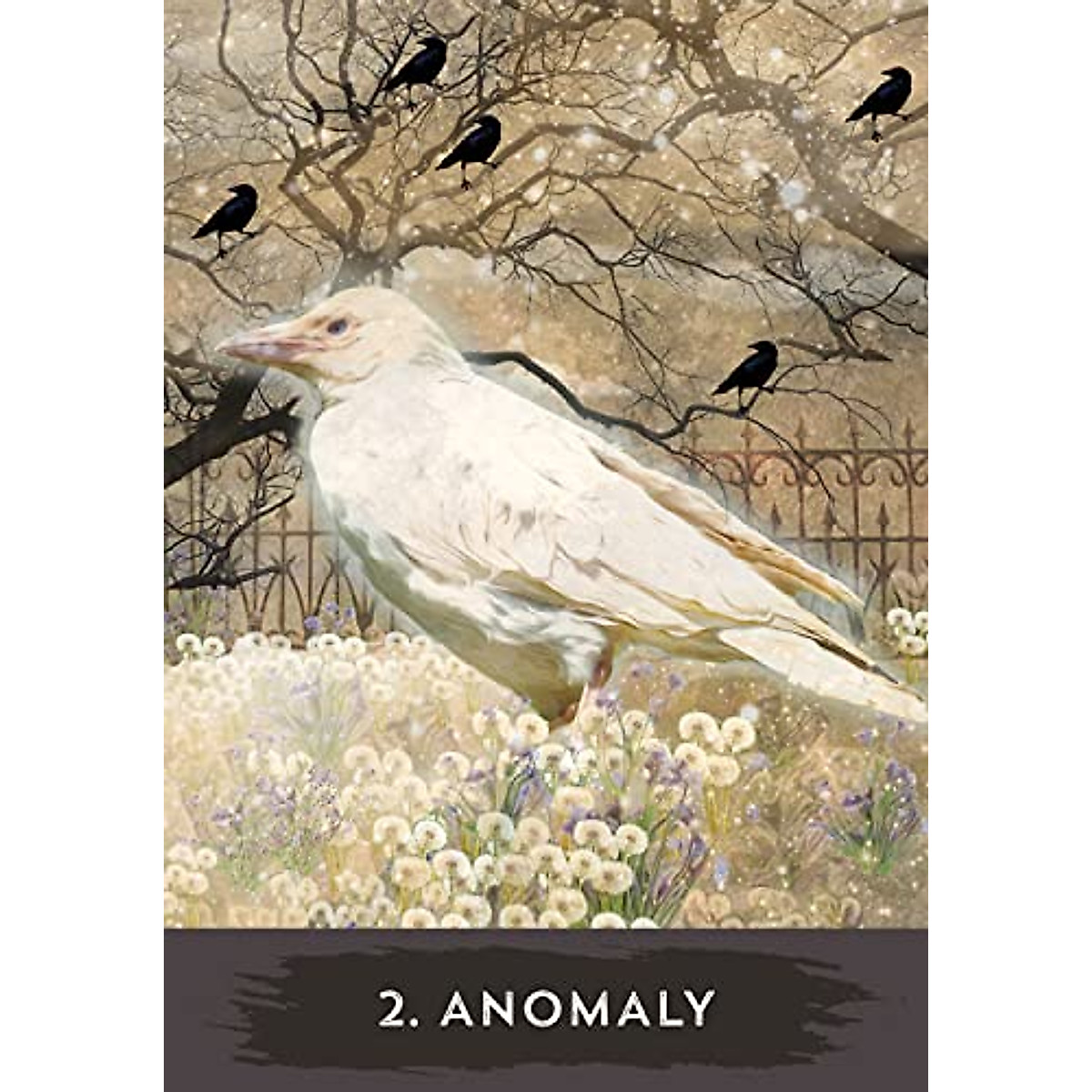 Urban Crow Oracle: A 54-Card Deck and Guidebook