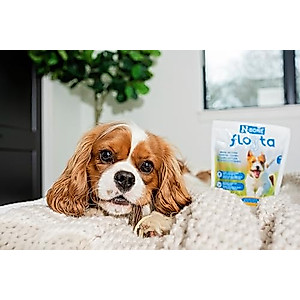 N-Bone FLOSSta Dual Action Dental Chews Chicken Flavor, 12-oz Bag