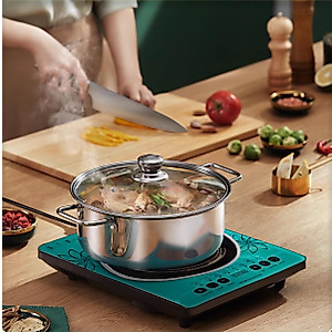 TYEMUI 2200W Induction Hot Plate,Portable Electric Cooktop Single Burner High Power Electrical Hot Plates for Cooking in Dorm, Apartments, Home 110V-120V