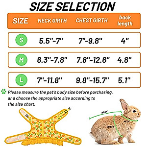 Rabbit Harness and Leash for Walking Escape Proof - Cute Carrot Pattern Mesh Breathable Bunny Vest Harness Outdoor Camping Hiking Training - Also Suit for Ferret Kitten Puppy Small Animals