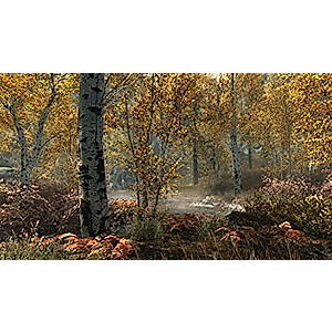 The Elder Scrolls V: Skyrim Special Edition - Xbox One