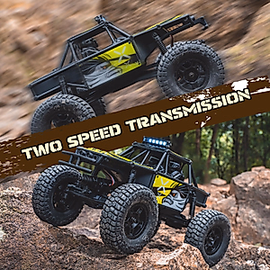 BEEZRC FMS 1/24 RC Crawler Lemur RTR FCX24 4WD 2.4GHz RC Rock Truck RC Car Offroad Mini Model Car Hobby Grade Remote Control Car with LED Lights (Green) FMS12404RTRGN