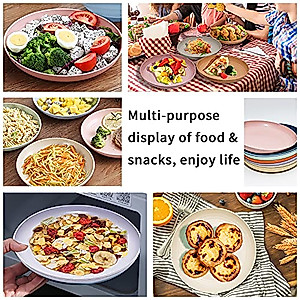 DAPIPIK 8 Pieces 10 Inch Wheat Straw Plates, Unbreakable Dinner Plates, Lightweight Straw Plates, Dishwasher & Microwave Safe, Perfect for Dinner Dishes, Healthy for Kids & Adult