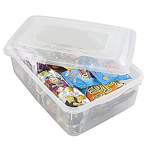 Anbers 11-Quart Clear Storage Containers Box Bin with Lid, 2-Pack