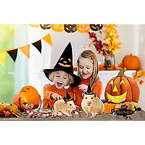 Vehomy Small Animal Halloween House Hideout & Costume Set- Hamster Cave House Bed Nest Hideout with Ghost Candy Spider Net Pattern Hamster Witch Hat Bowtie for Rodent Chinchilla Hedgehog