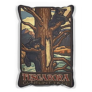 Tuscarora Gunflint Trail Minnesota Two Bear Cubs Canvas Throw Pillow for Couch or Sofa at Home & Office from Travel Artwork by Artist Paul A. Lanquist 13" x 19".