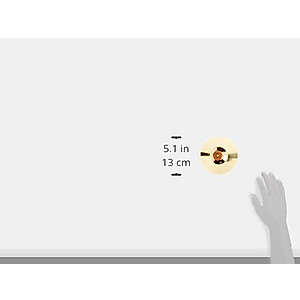 First Note FN240 Firstnote Cymbals