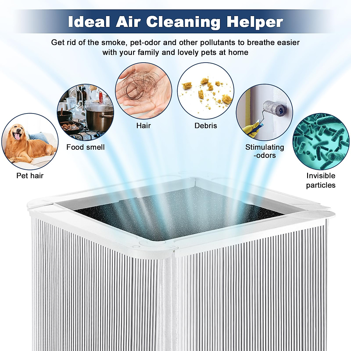 Blue-pure Replacement Filter for BLUEAIR Blue Pure 211+ and Max Purifier, Blue 211+ Particle and Activated Carbon Filter, 211+ Filter