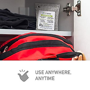 PureGuardian Guardian Technologies CB200 Bamboo Charcoal Air Purifying Bag, Eco-Friendly, Naturally Absorbs Odors, Excess Moisture and Pollutants, 200g, Gray