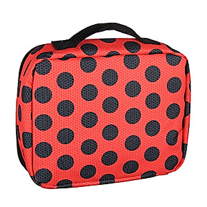 Miraculous Tales of Ladybug & Cat Noir Characters 5 PC Backpack Lunchbox Icepack Water Bottle