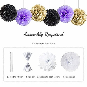 ANSOMO Black Purple and Gold Happy Birthday Party Decorations Balloons Décor Supplies Women Men Boys Girls 16th 20th 25th 30th 35th 40th 45th 50th 60th 70th
